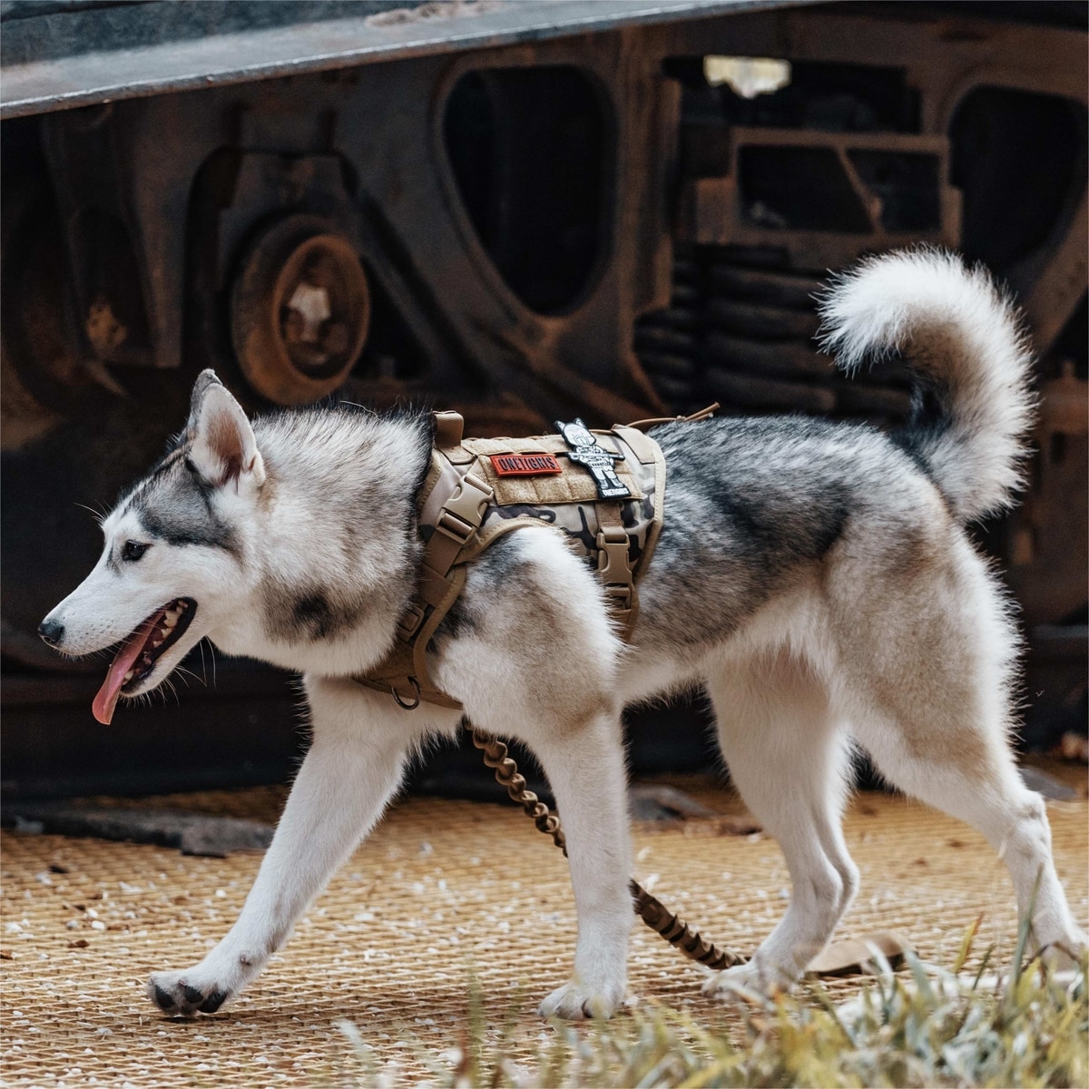 ONETIGRIS FIRE WATCHER 2.0 No Pull Dog Harness, Multicam, Medium: 24 to ...
