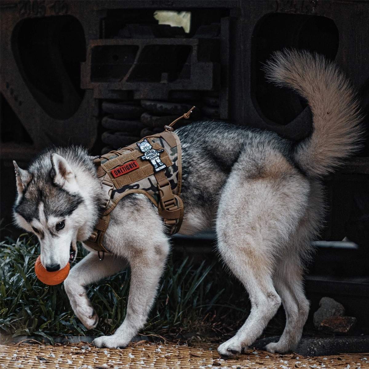 ONETIGRIS FIRE WATCHER 2.0 No Pull Dog Harness, Multicam, Medium: 24 to ...