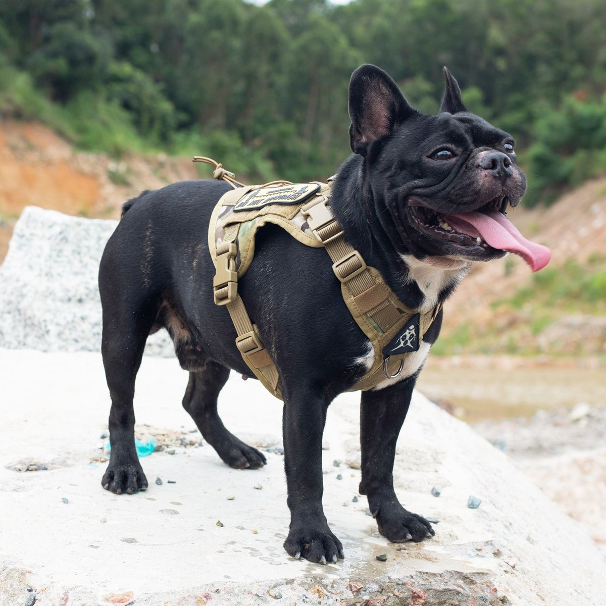 ONETIGRIS FIRE WATCHER 2.0 No Pull Dog Harness, Multicam, Small: 20 to ...