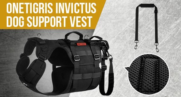 ONETIGRIS Full Body Dog Lift Support Harness, Black, Large - Chewy.com