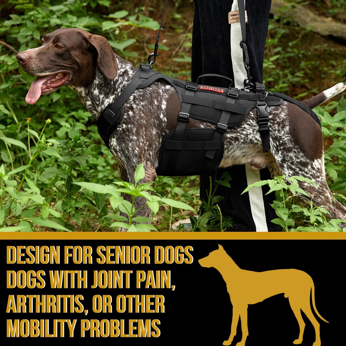ONETIGRIS Full Body Dog Lift Support Harness, Black, X-Large - Chewy.com