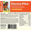 ORALX Electro-Plex Electolyte Recovery Paste Horse Supplement, 1.2-oz syringe - Chewy.com