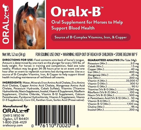 ORALX Oralx-B Circulatory Care Paste Horse Supplement, 1.2-oz syringe - Chewy.com