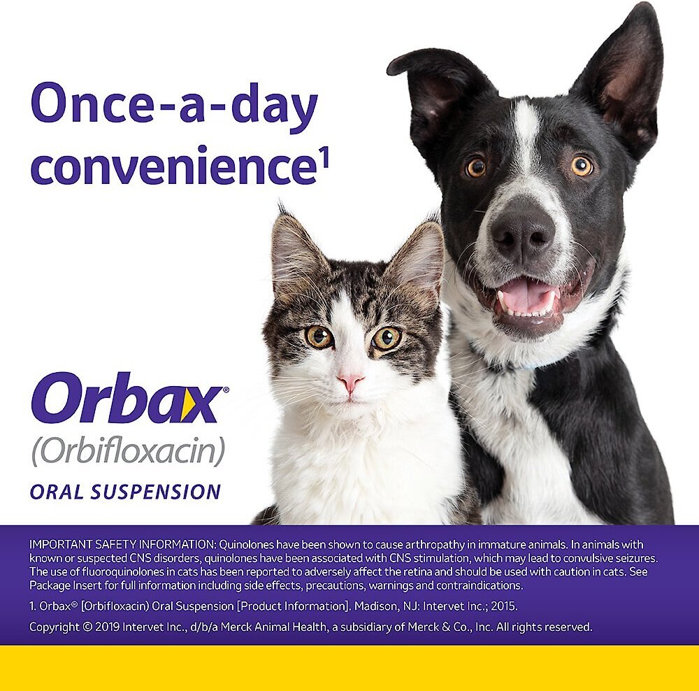 ORBAX (orbifloxacin) Oral Suspension for Dogs & Cats, 30 mg/mL, 20-mL ...