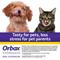 ORBAX (orbifloxacin) Oral Suspension for Dogs & Cats, 30 mg/mL, 20-mL ...