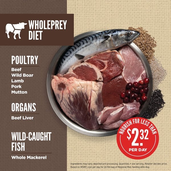 ORIJEN Amazing Grains Regional Red Dry Dog Food, 4-lb bag - Chewy.com