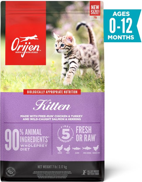 Dry Kitten Food - Free shipping | Chewy