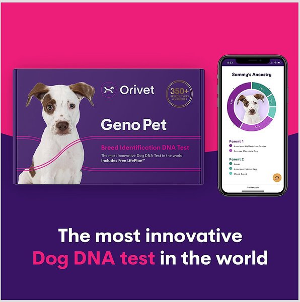 ORIVET Geno Pet Dog DNA Breed Identification Test - Chewy.com