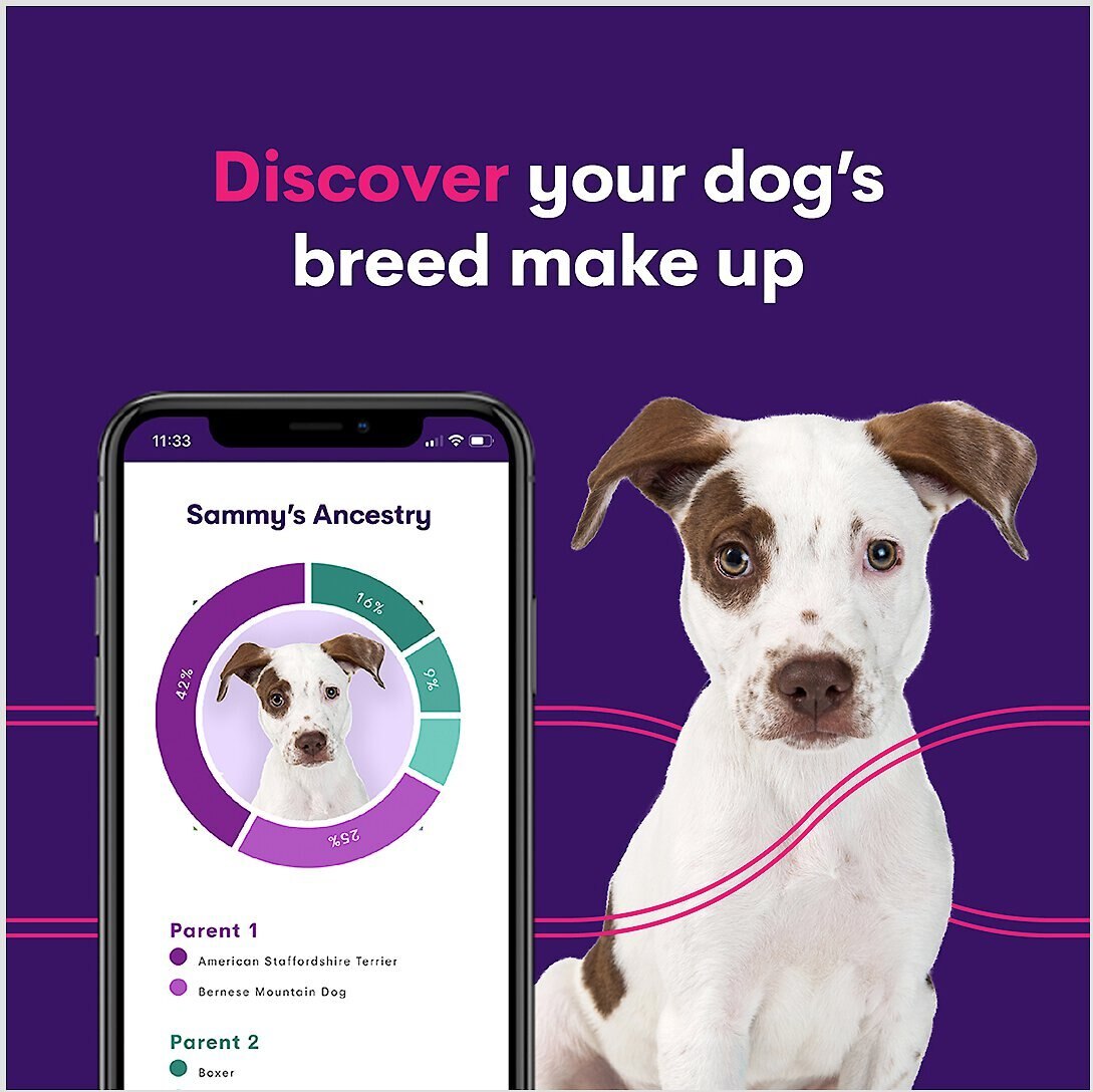 ORIVET Geno Pet Dog DNA Breed Identification Test - Chewy.com