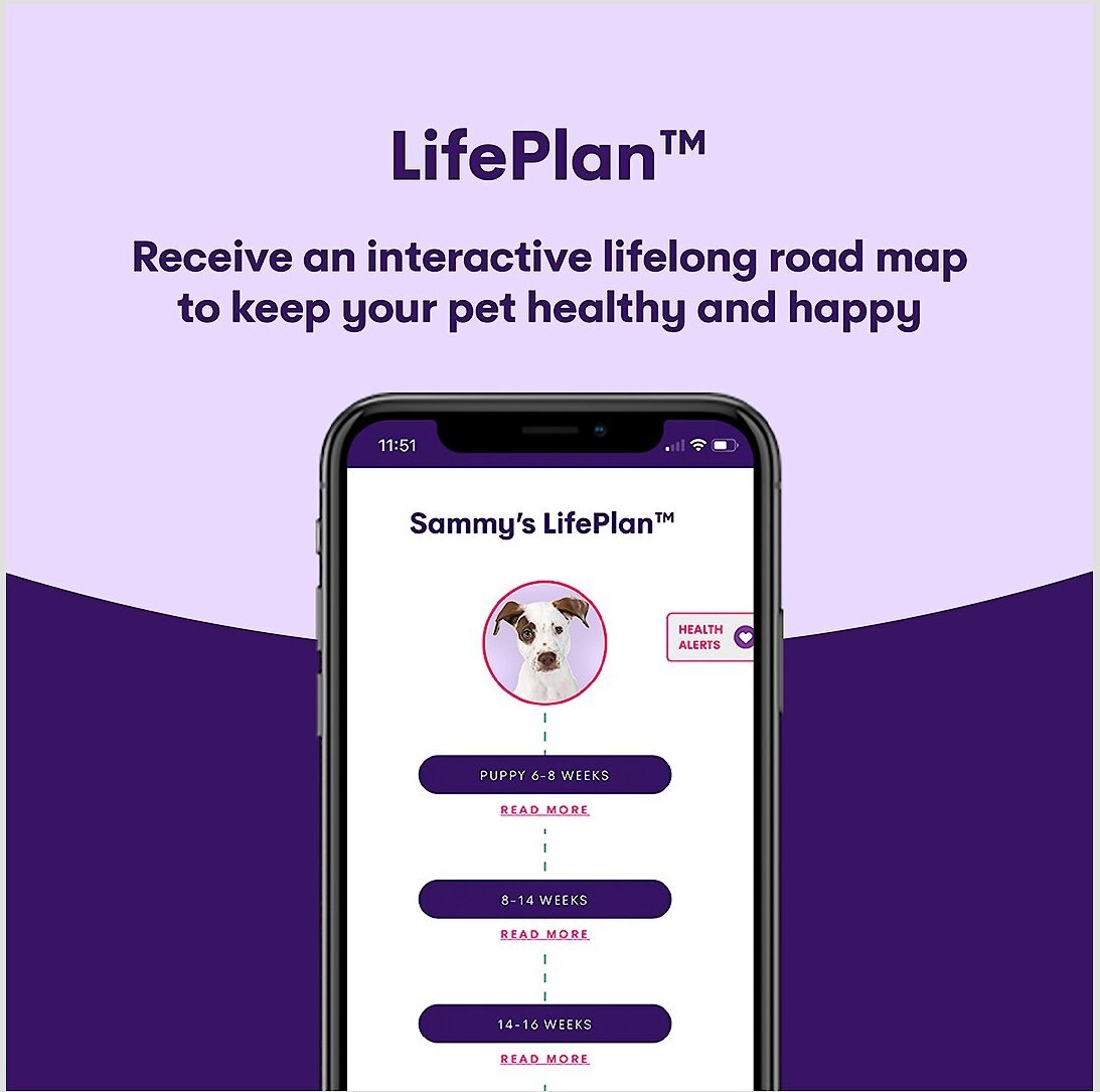 ORIVET Geno Pet Dog DNA Breed Identification Test - Chewy.com