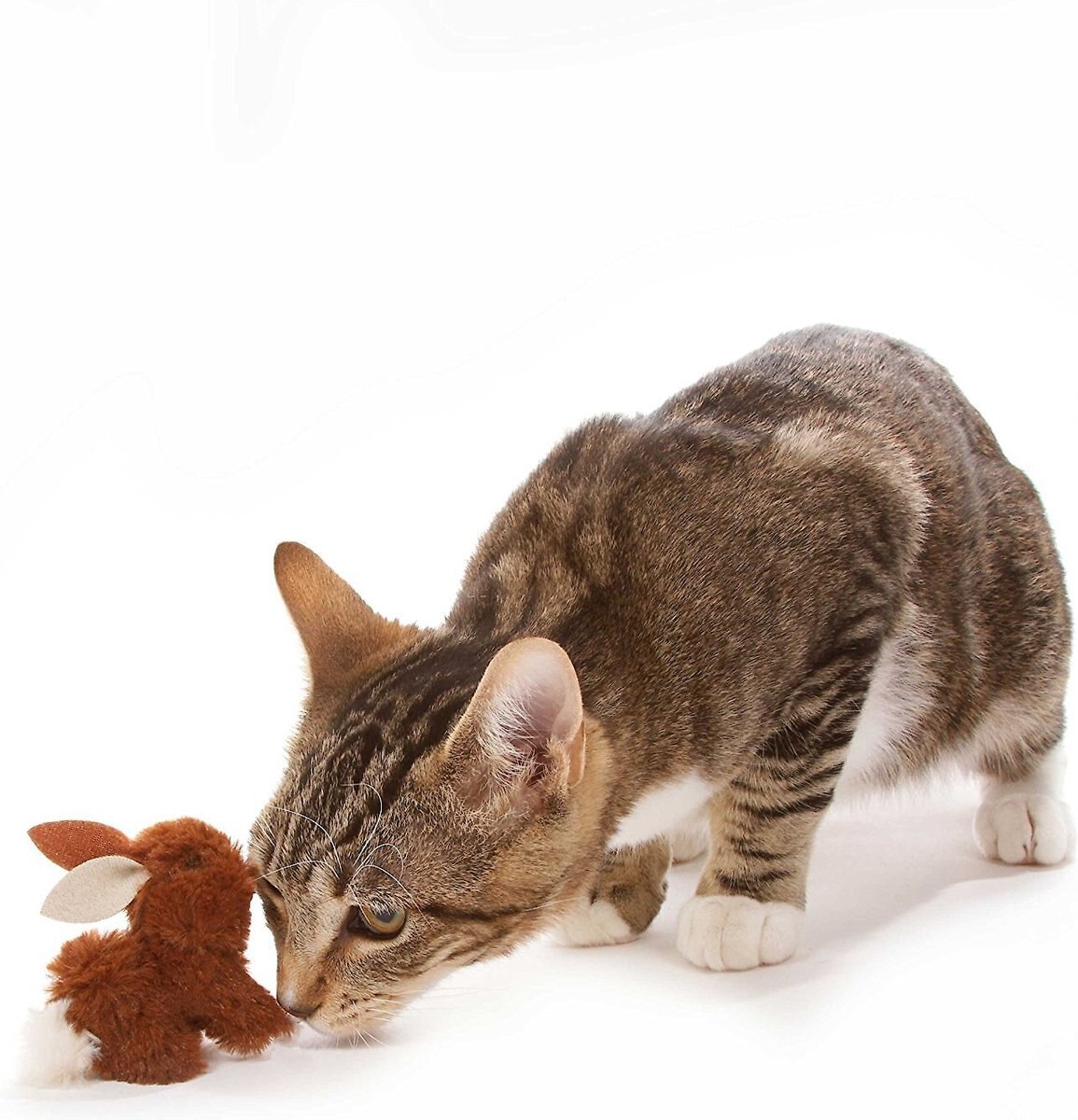 Discontinued - OURPETS Backyard Squeaking Bunny Cat Toy - Chewy.com