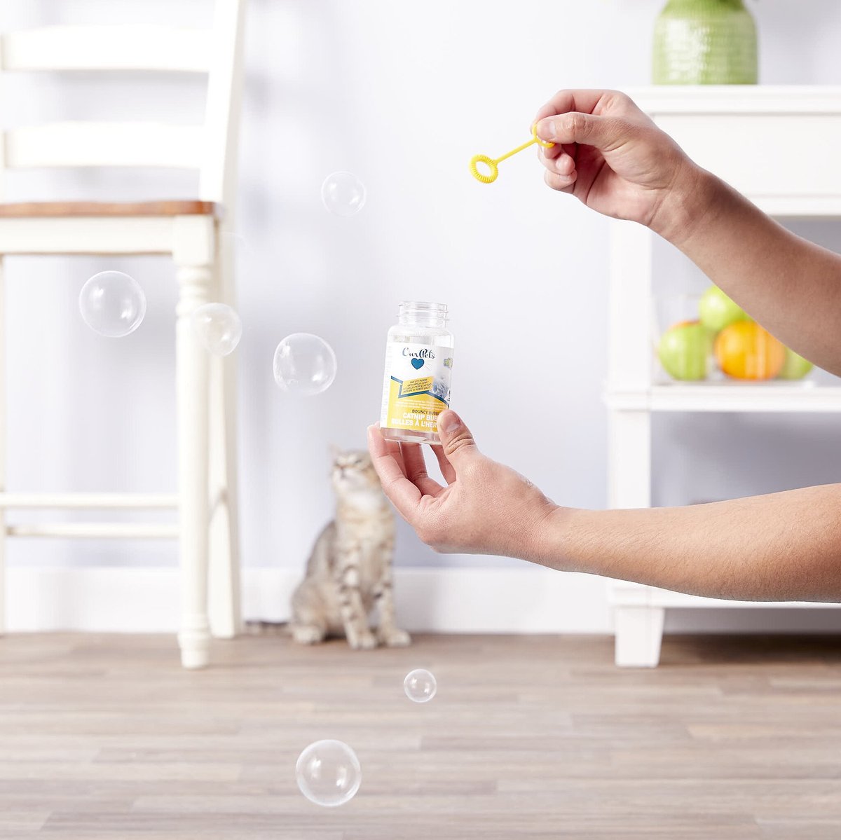 OURPETS Catnip Bouncy Bubbles Cat Toy, 5-oz bottle - Chewy.com