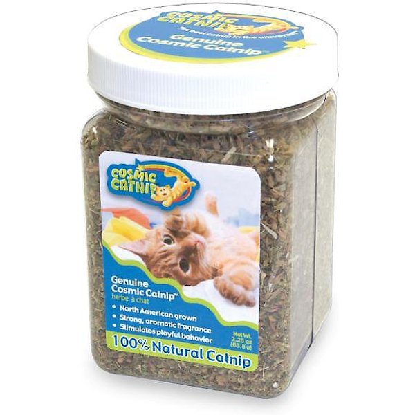 OURPETS Cosmic Catnip, 2.25-oz jar - Chewy.com