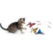 OURPETS Whirling Wiggler Spinner Interactive Cat Toy - Chewy.com