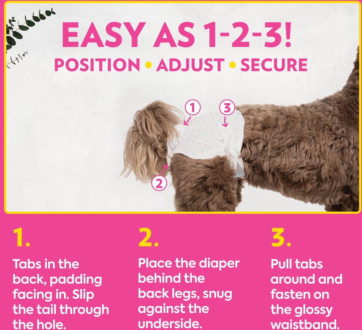 OUT! Petcare Disposable Female Dog Diapers, Extra Small/Small: 13 to 18 ...