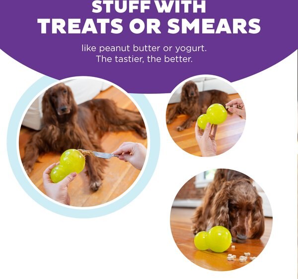 OUTWARD HOUND Double-Tuff Interactive Treat Stuffer Durable Dog Chew ...