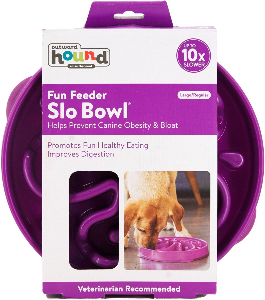 OUTWARD HOUND Fun Feeder Interactive Dog Bowl, Purple, 4 cup - Chewy.com