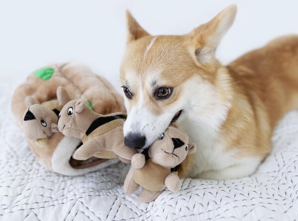 OUTWARD HOUND Hide A Squirrel Squeaky Puzzle Plush Dog Toy, Large ...