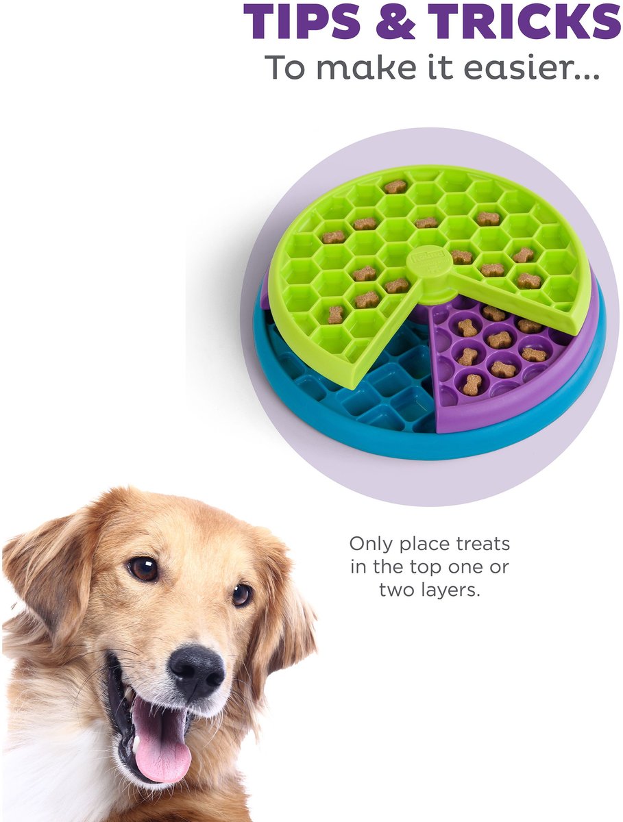 OUTWARD HOUND Lickin' Layers Interactive Puzzle Game & Slow Feeder ...