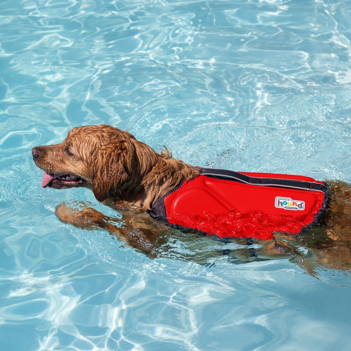 OUTWARD HOUND Neoprene Dawson Swimmer Dog Life Jacket, X-Large - Chewy.com