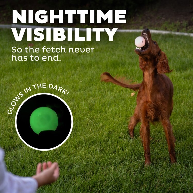 OUTWARD HOUND Orbee-Tuff LED Strobe Ball Tough Dog Chew Toy, White ...