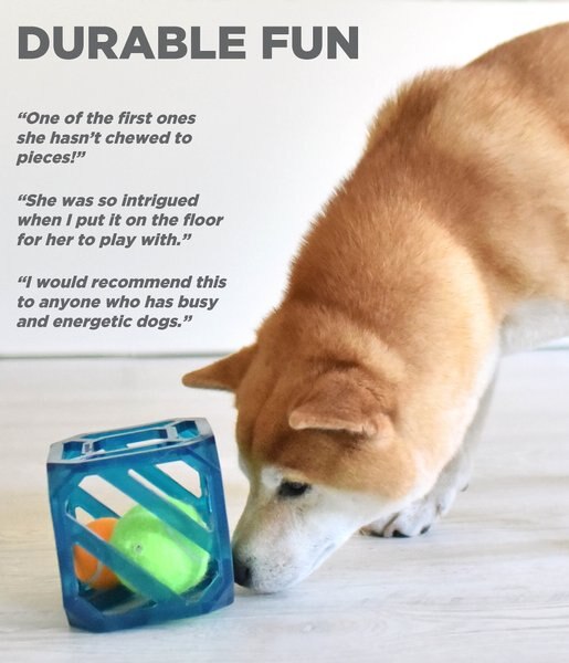 OUTWARD HOUND Puzzle Cube Interactive Dog Toy - Chewy.com