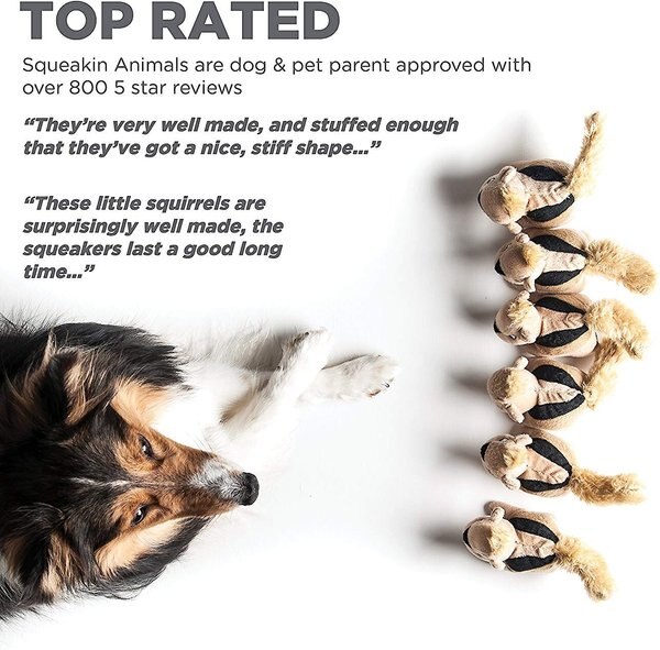OUTWARD HOUND Replacement Squirrels for Hide A Squirrel Dog Toy, 3 ...