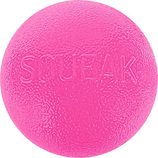 NERF DOG TPR Spike Ball Dog Toy, Medium - Chewy.com