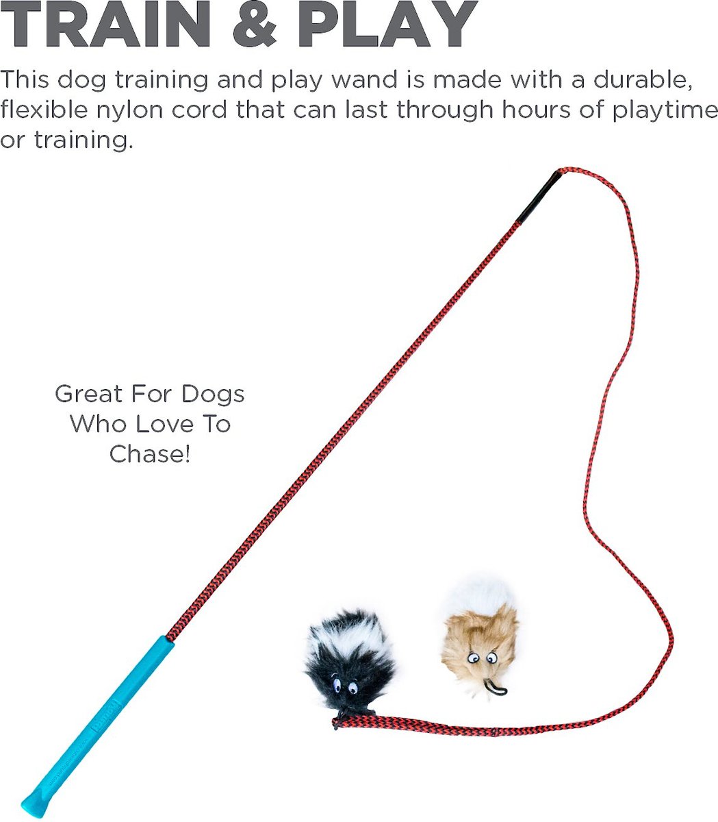 OUTWARD HOUND Tail Teaser with Refill Dog & Cat Teaser Toy - Chewy.com