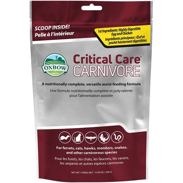 REDMON Digital Small Pet & Bird Scale, White - Chewy.com