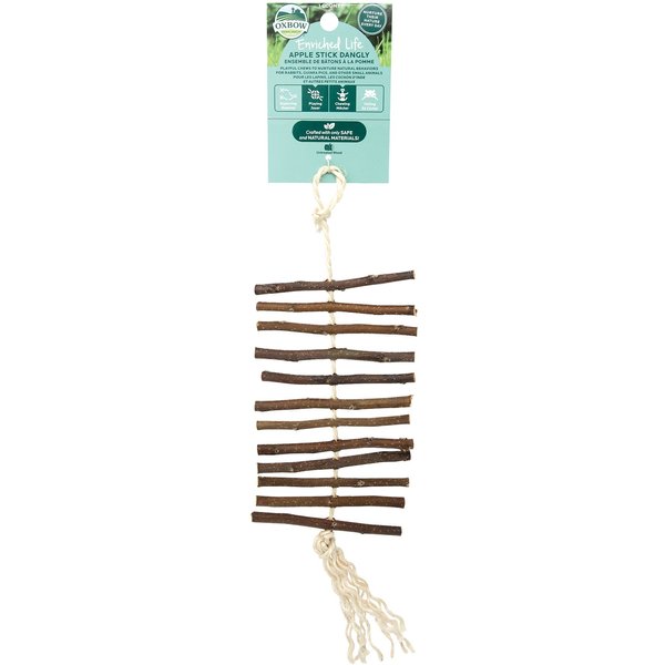 OXBOW Apple Stick Bundle Small Animal Chew Toy - Chewy.com