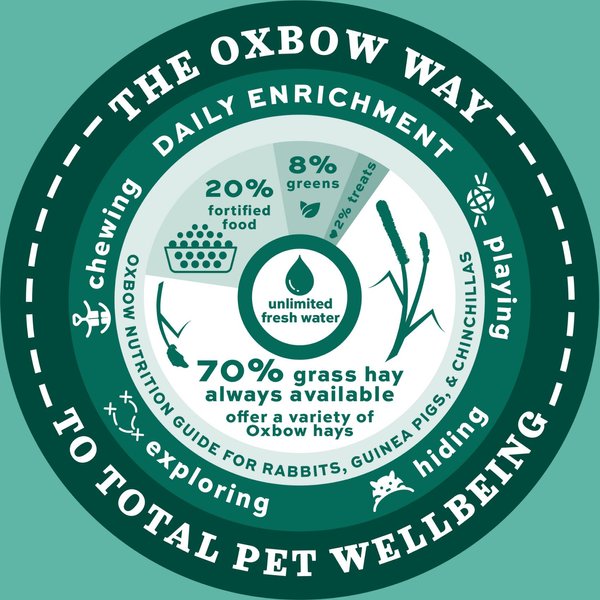 OXBOW Enriched Life Rectangle Small Animal Litter Pan with Removable ...