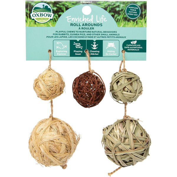 OXBOW Apple Stick Bundle Small Animal Chew Toy - Chewy.com