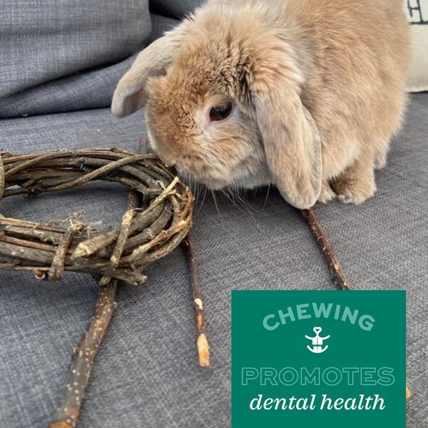 OXBOW Enriched Life Timbells Small Animal Chew Toy, 2 count - Chewy.com