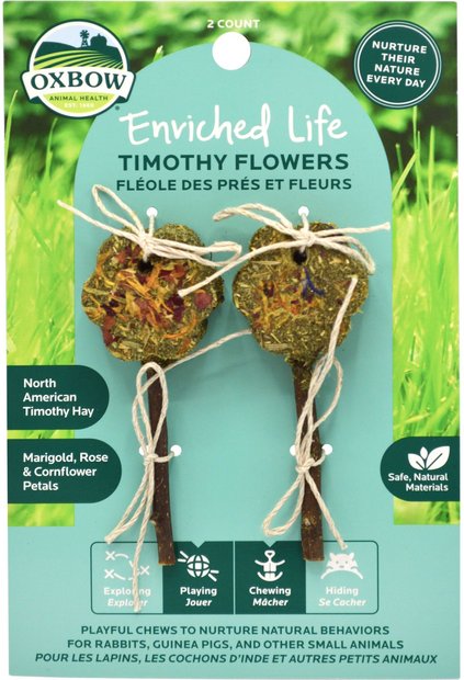 OXBOW RABBIT TOYS (Free Shipping) | Chewy