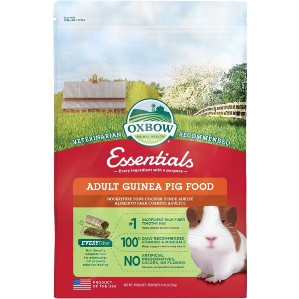 10 Best Guinea Pig Foods 2025: According to Reviews | Chewy