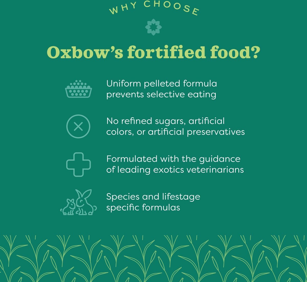 OXBOW Essentials Healthy Handfuls Gerbil & Hamster Food, 1-lb bag ...