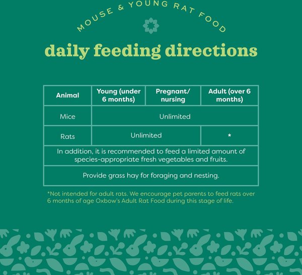 OXBOW Essentials Mouse & Young Rat Food All Natural Mouse & Young Rat ...