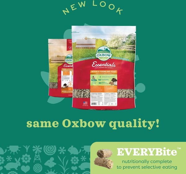 OXBOW Essentials Mouse & Young Rat Food All Natural Mouse & Young Rat ...