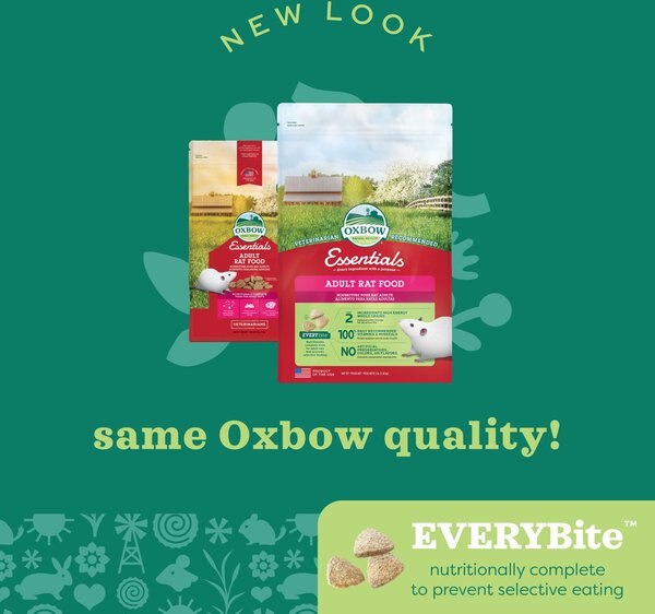 OXBOW Essentials Regal Rat Adult Rat Food, 3-lb bag, bundle of 2 ...