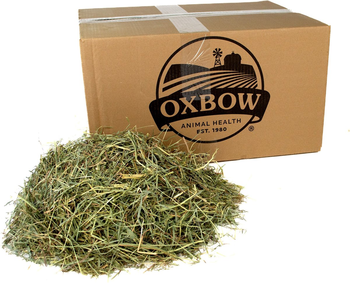 OXBOW Orchard Grass Hay Small Animal Food, 25-lb bag - Chewy.com