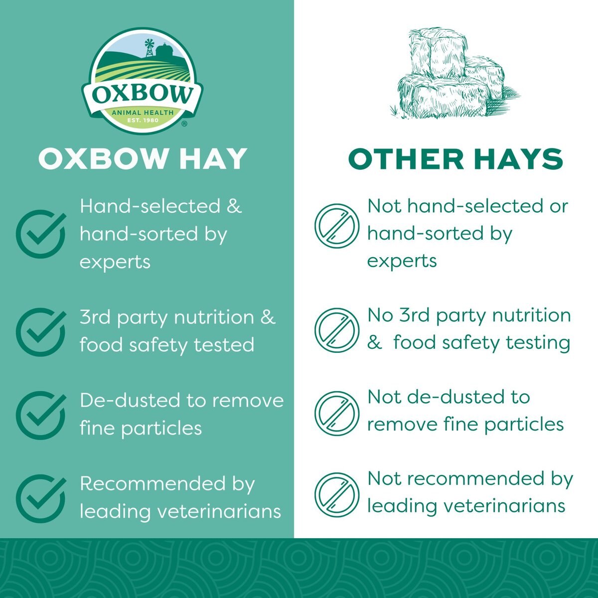 OXBOW Orchard Grass Hay Small Animal Food, 40-oz bag - Chewy.com