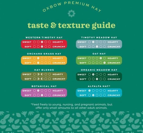 OXBOW Prime Cut Hearty & Crunchy Timothy Hay Small Pet Food, 80-oz bag ...