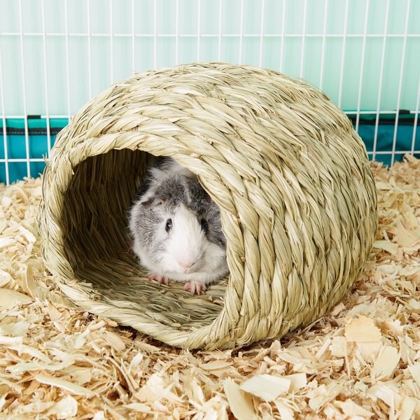 OXBOW Timothy Club Bungalow Small Animal Hideout, Large - Chewy.com