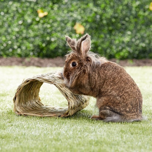 OXBOW Timothy Club Tunnel Small Animal Hideout - Chewy.com