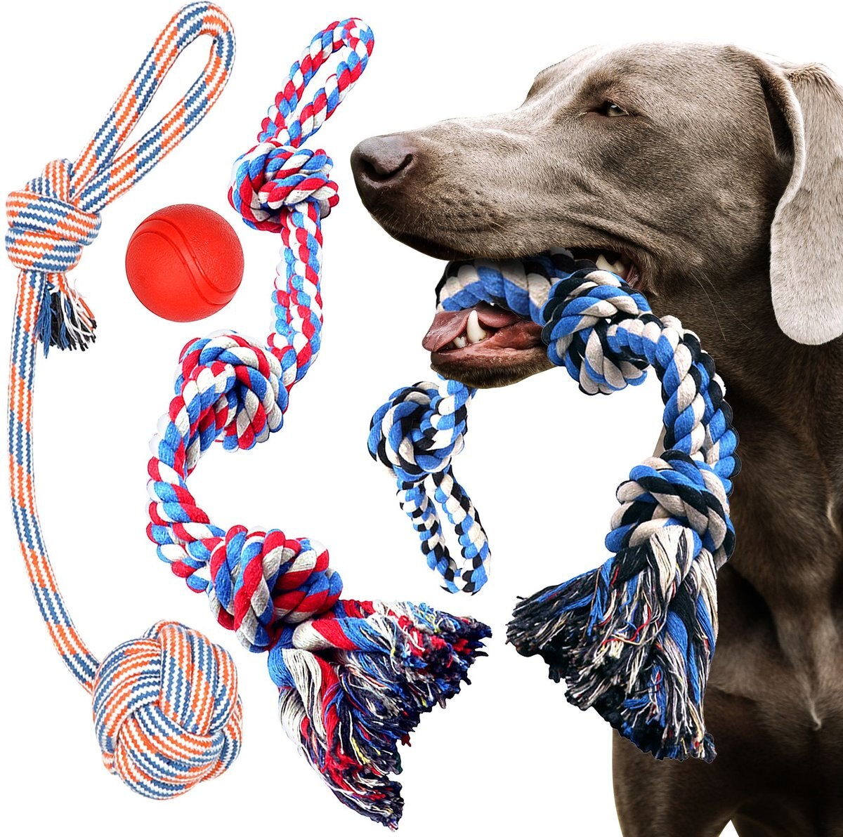 PACIFIC PUPS RESCUE 4-Piece Medium & Large Dog Rope & Ball Toy Set ...