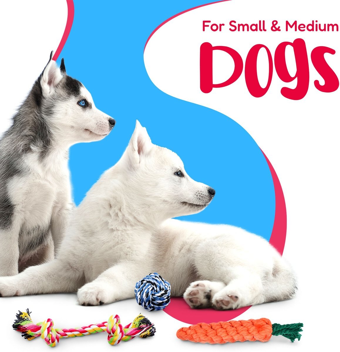 PACIFIC PUPS RESCUE Assorted Rope Dog Toys, 11 count - Chewy.com