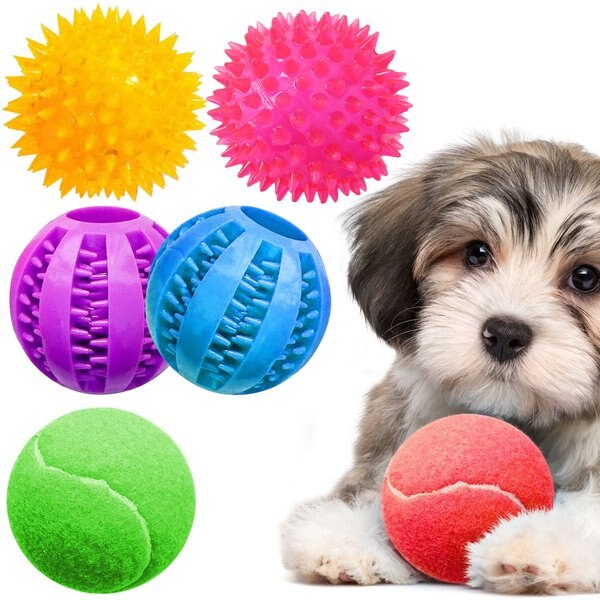 PACIFIC PUPS RESCUE Ball Dog Toy Variety Pack, 6 count - Chewy.com