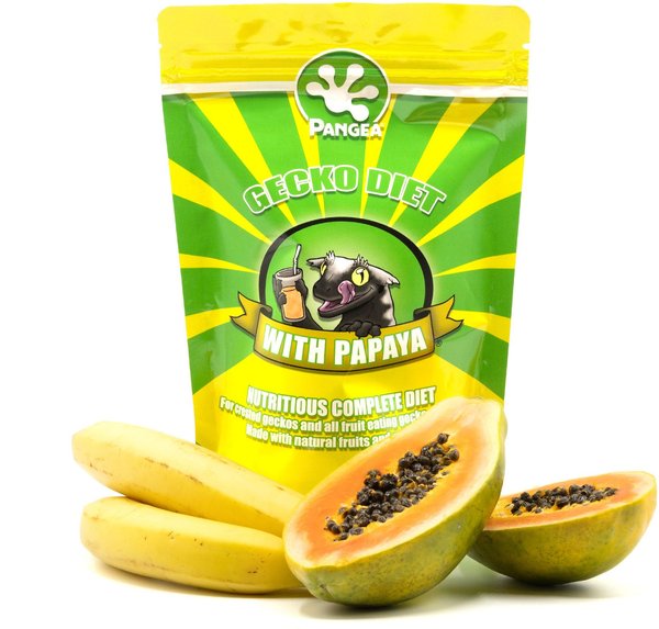 PANGEA Banana & Papaya Fruit Mix Gecko Food, 16-oz bag - Chewy.com