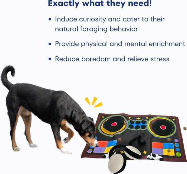 PATCHWORK PET DJ Dog Playmat - Chewy.com